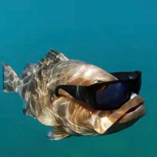 Stream My first BISHBATTLE ON ABLETON FISHU ( FISHBATTLE) BISH BATTLE ...