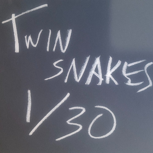 Stream Twin Snakes by ATTLAS | Listen online for free on SoundCloud