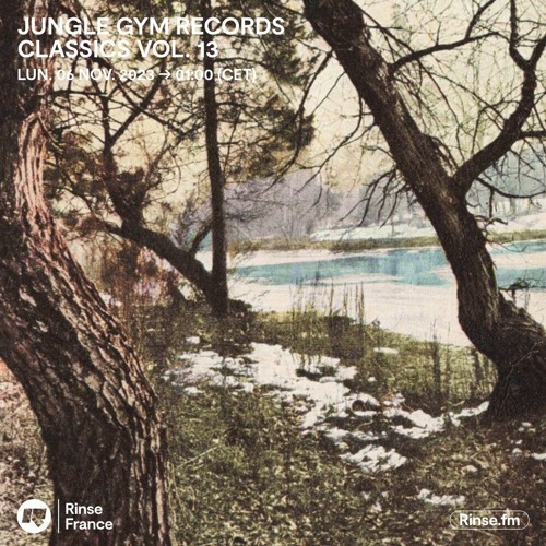 Stream Jungle Gym Records : Classics Vol. 13 - 06 Novembre 2023 by ...