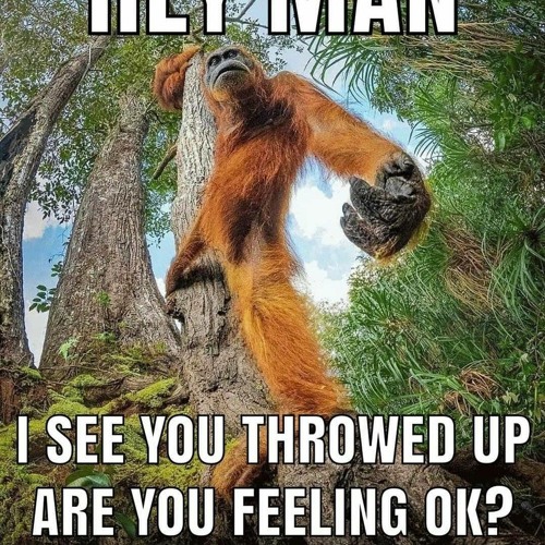 Stream knockin at da opps by xancoma | Listen online for free on SoundCloud