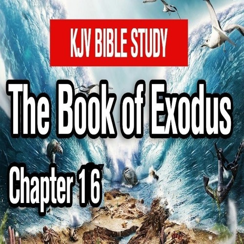 Stream Exodus Chapter 16: King James Verse-by-Verse Bible Study by Ex ...