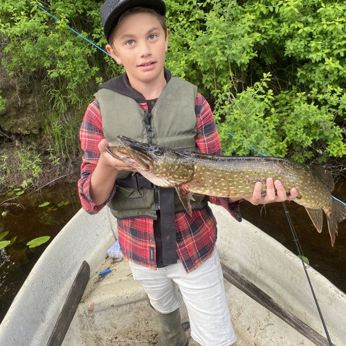 Stream Nikolajforsberg | Listen to Nikolaj playlist online for free on ...