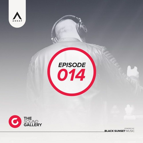 Stream The Sound Gallery - Episode 014 by Assaf | Listen online for ...