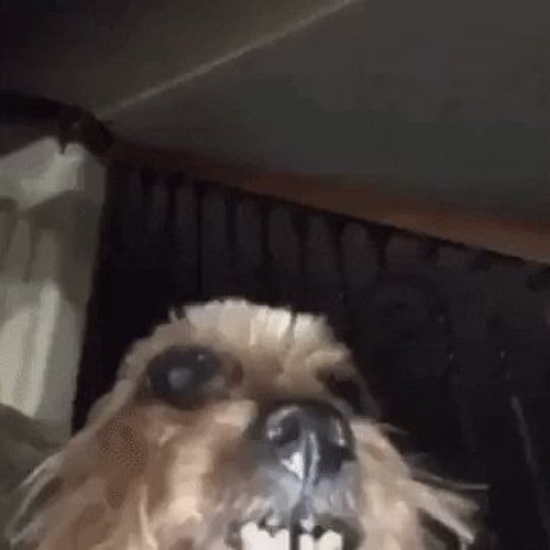 Stream addison rae - i got it bad (filtered acapella) by looeze ...