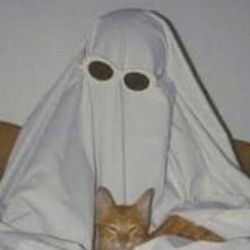 Stream Dessi Boo \ʕ •ᴥ•ʔ / | Listen to Parent Safe Songs 🤫 playlist ...