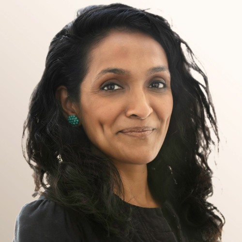 Stream Planner and City Official Nithya Raman’s Vision to End ...