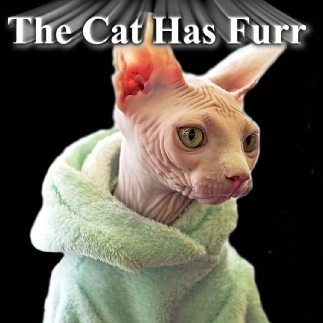 Stream The Cat Has Furr by Keith Wolk | Listen online for free on ...
