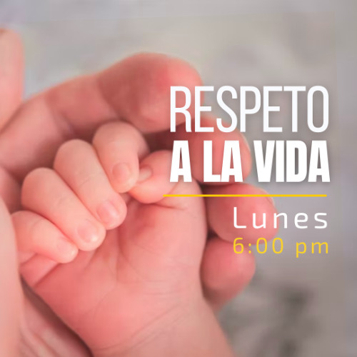 Stream 241209 RESPETO A LA VIDA (Adviento. El si a la vida deJose y ...
