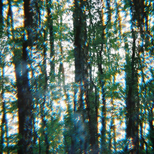 Stream Francesco Rizzi | Listen to Podcasts & Guest Mixes playlist ...