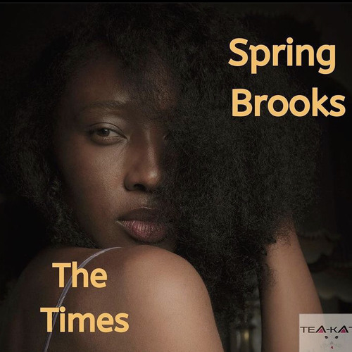Stream The Times (A.W.L Mix) [feat. Luca Tozzi] by Spring Brooks : # ...