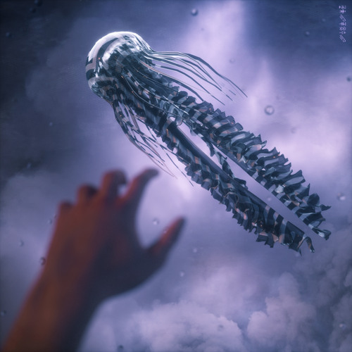 Stream Strider by MEMBA | Listen online for free on SoundCloud