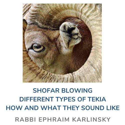 Stream Shofar Blowing - Different Types Of Tekia - How And What They ...