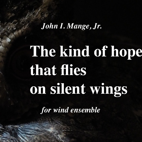Stream The kind of hope that flies on silent wings by John Mange ...