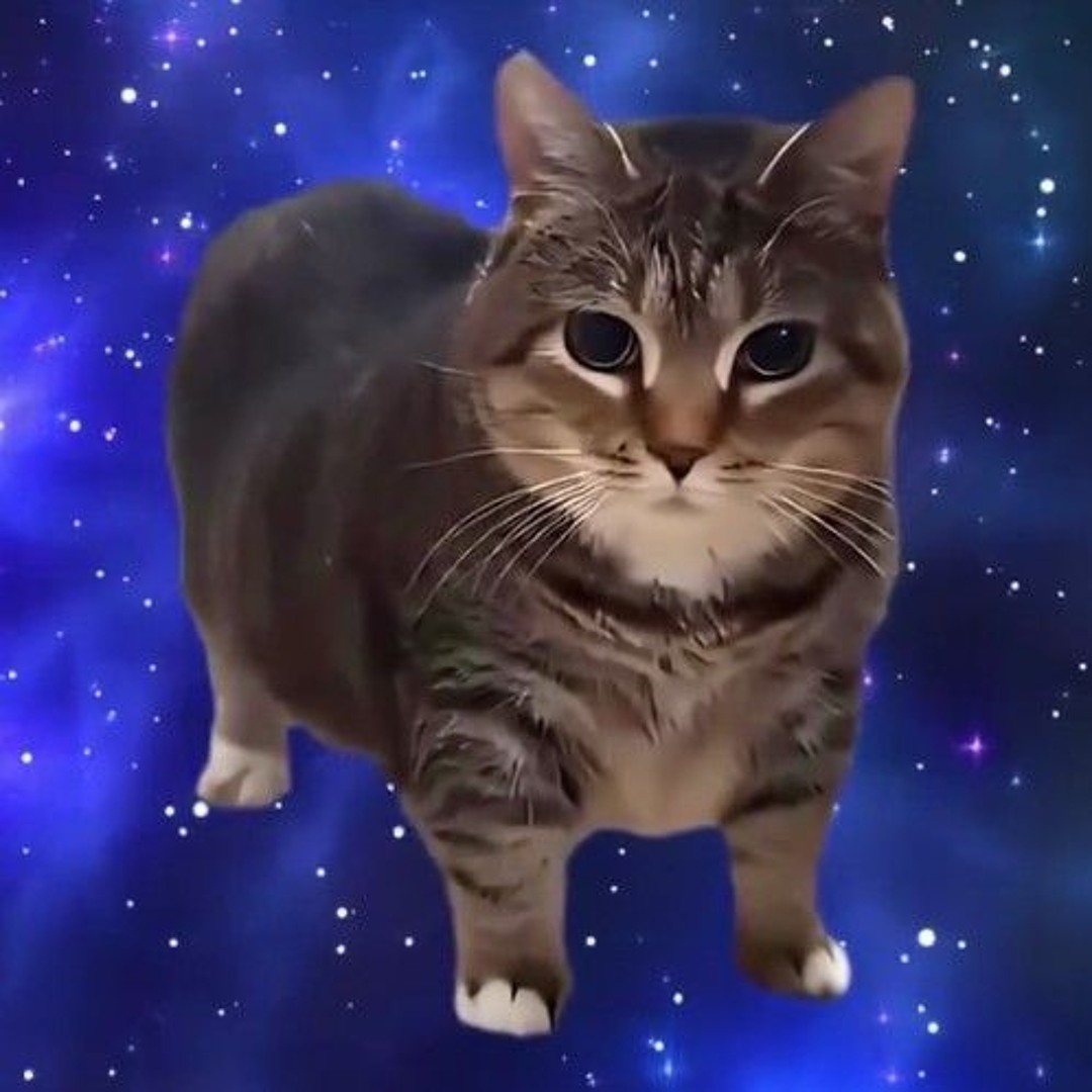 Stream episode 1 hour of Oiia Oiia cat by MikeX839 podcast | Listen ...