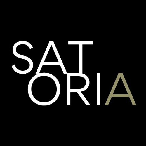 Stream episode Satoria - Demand Generation B2B Software company, Texas ...