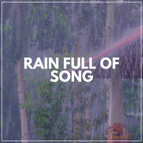 Stream Rain Full of Song by Nature & Rainforest Sounds Collective ...