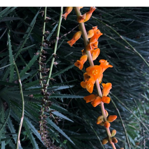 Stream Stranger Things by Gabiga | Listen online for free on SoundCloud