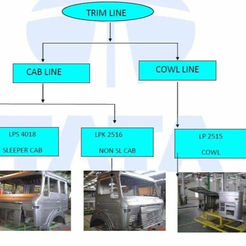 Organizational Chart Of Tata Motors