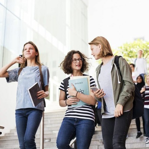 Stream What Is Statement Of Purpose By The Student Helpline Listen 