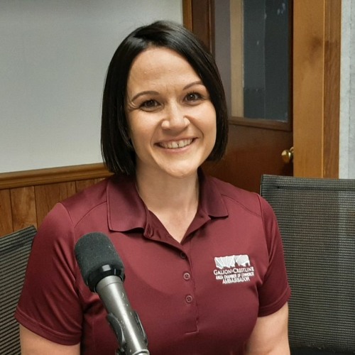 Stream Community Spotlight Podcast: Galion/Crestline Chamber by CCN ...