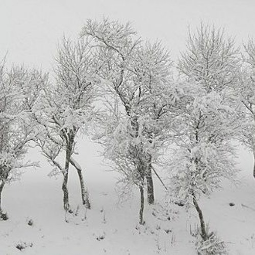 Stream Xue Hua Piao Piao (Yi Jian Mei) by Sid | Listen online for free ...