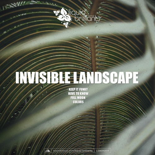 Stream Invisible Landscape - Have To Know by Liquid Brilliants | Listen ...