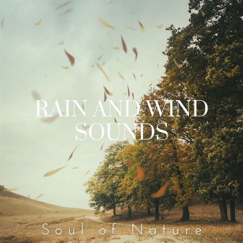 Stream Windy Weather and Heavy Rain by HiFi Nature Sound Library ...