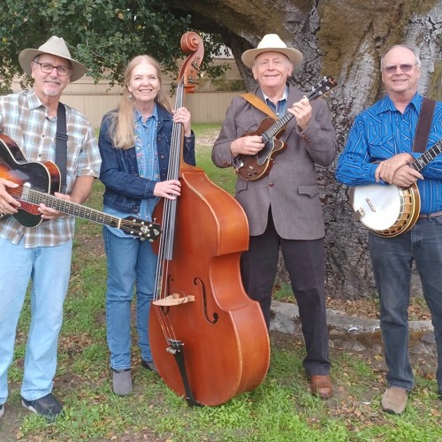 Stream Red Wing by Hillbilly Swing band | Listen online for free on ...