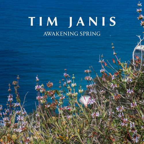Stream Tim Janis | Listen to Awakening Spring playlist online for free ...