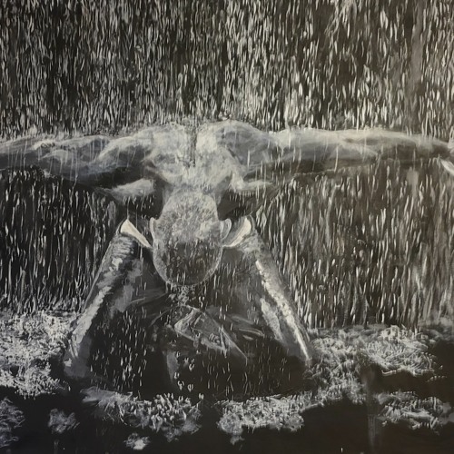 Stream DJ Mojo PHX | Listen to mojo musik playlist online for free on ...