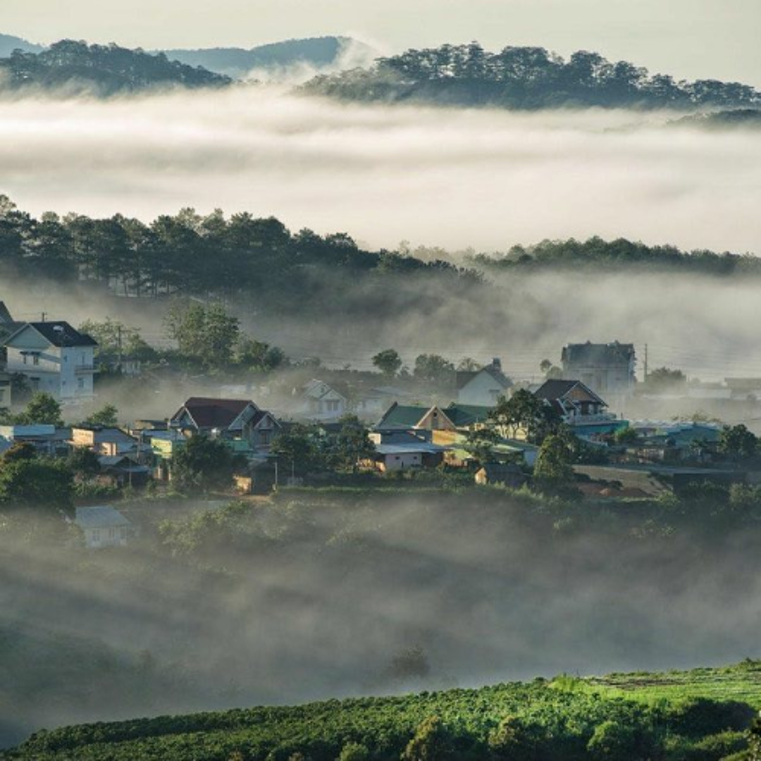 Stream ĐÀ-LẠT-CÒN-MƯA-KHÔNG-EM by Anh Việt | Listen online for free on ...