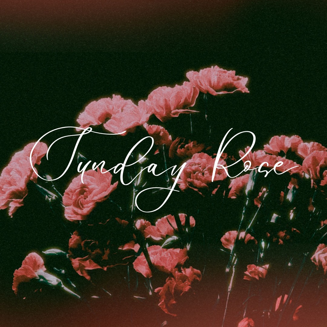 Stream Sunday Rose (Prod by Me) by xdfgh | Listen online for free on ...