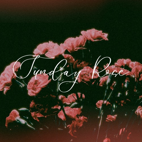 Stream Sunday Rose (Prod by Me) by xdfgh | Listen online for free on ...