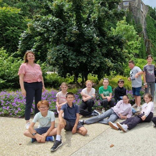 Stream Les ambassadeurs du CDI vous dévoilent leurs missions au Collège by Podcasts - Collège ...