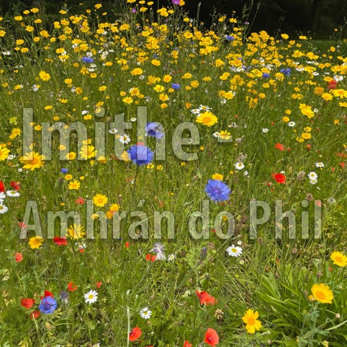 Stream Imithe — Amhrán Do Phil by Frank Callery | Listen online for ...