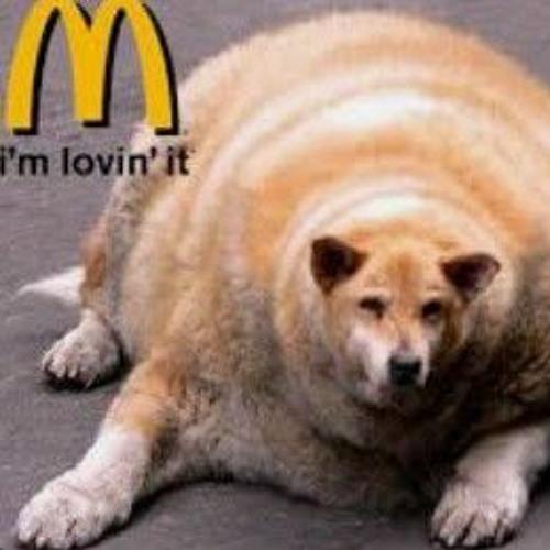 Stream Conor Flood | Listen to gym playlist online for free on SoundCloud