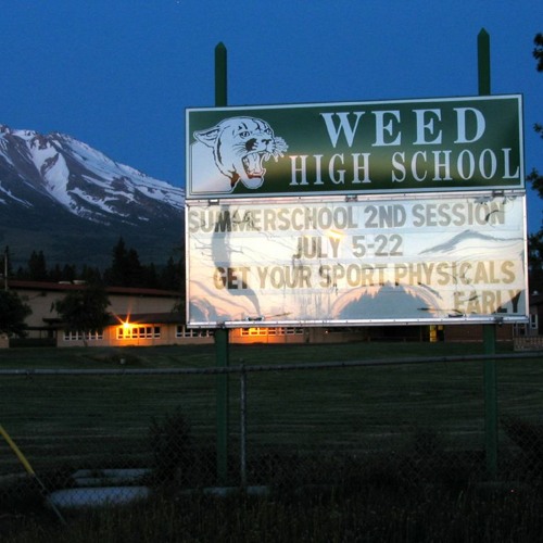 Stream UNIVERSITY by Ralphy | Listen online for free on SoundCloud