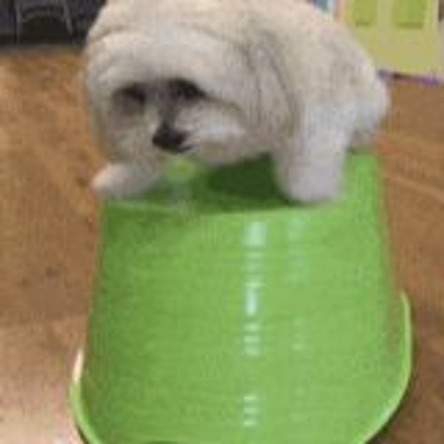 Stream Jacobb dj | Listen to my mixes/sets playlist online for free on ...