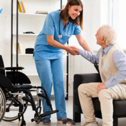 Stream How An NDIS-Registered Disability Service Provider Can Benefit ...