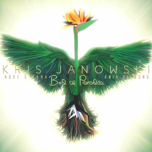 Stream Bird of Paradise (Featuring Ashe O'Hara & Ania Diamond ...