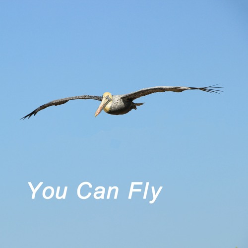 Stream You Can Fly by Four Seasons | Listen online for free on SoundCloud