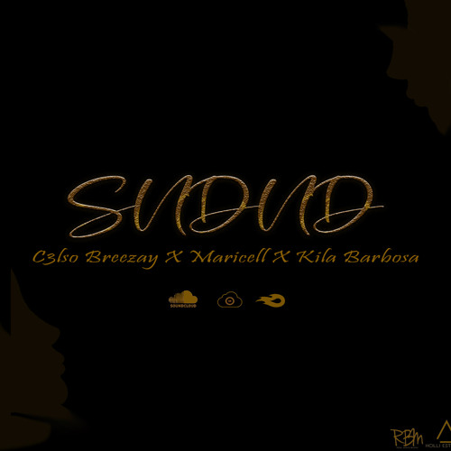 Stream SNDND (Se Não Dá, Não Dá) by C.Bree | Listen online for free on ...