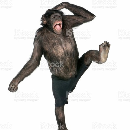 Stream Monkey Drill by Dr Pimp Chimp | Listen online for free on SoundCloud