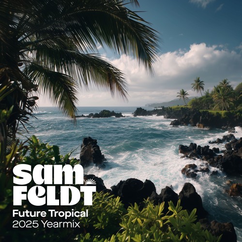 Stream Sam Feldt - Future Tropical (2025 Yearmix) by Sam Feldt | Listen ...