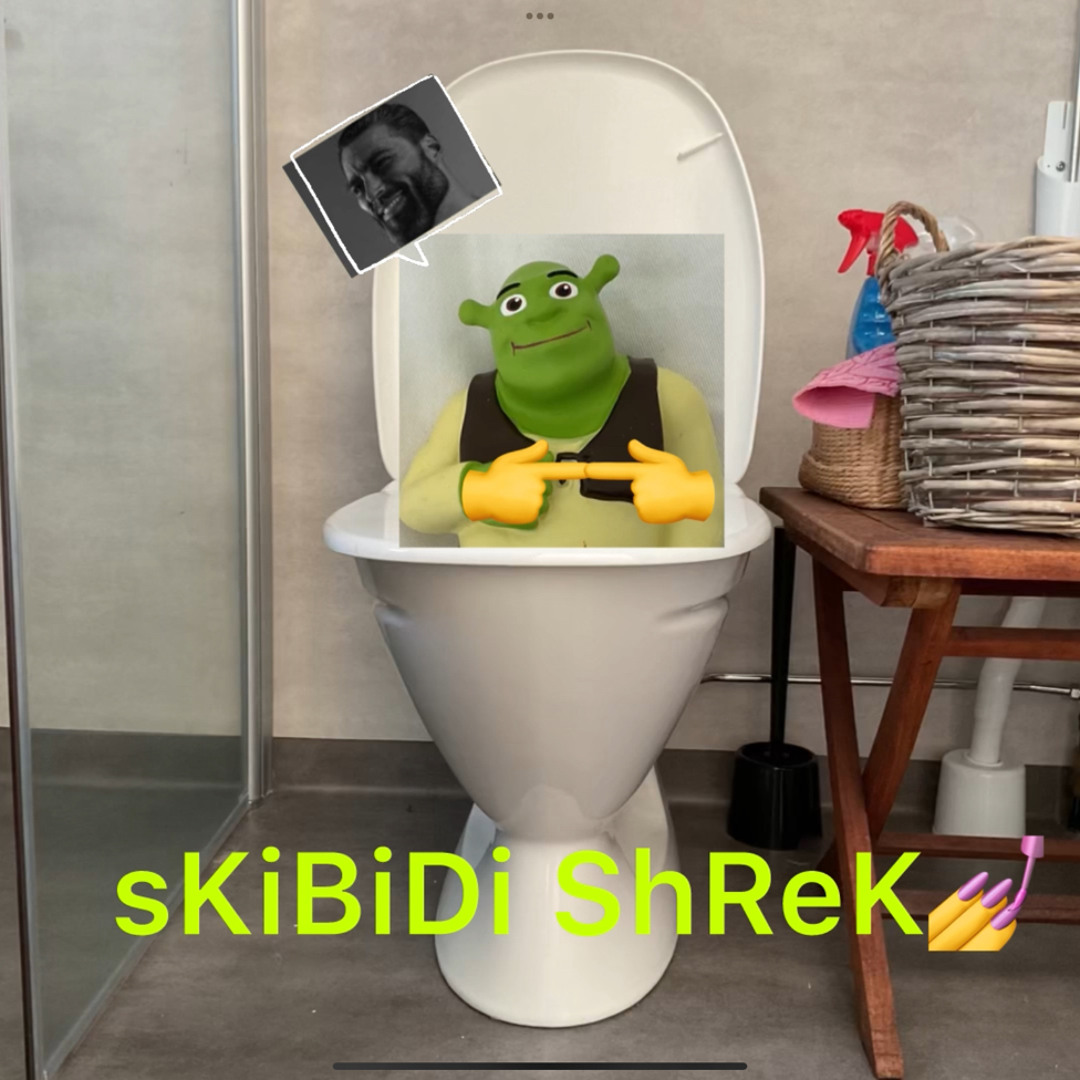 Stream sKiBiDi ShReK💅 by BigboiMozart:3 | Listen online for free on ...