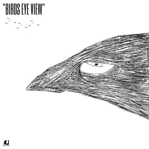 Stream Kaden Jordan | Listen to BIRDS EYE VIEW playlist online for free ...