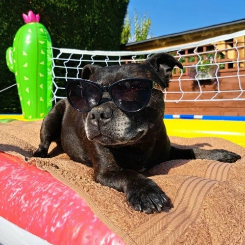 Stream Charly Jay Presents Minimal House by Charly Jay | Listen online ...