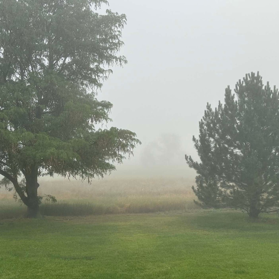 Stream Through the Fog by Praying With the Eyes | Listen online for ...