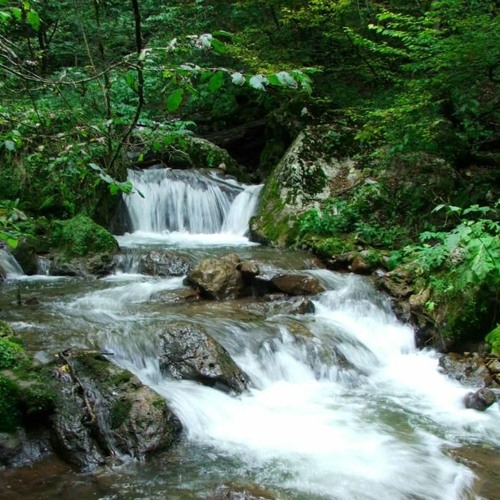 Stream episode Inversnaid by Gerard Manley Hopkins by Anton Jarvis ...