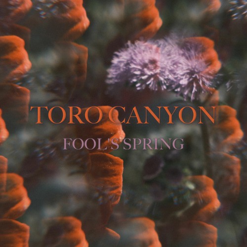 Stream Fool's Spring by Toro Canyon | Listen online for free on SoundCloud